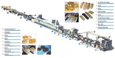 China 2000kg/8h Bakery Making Machine Small Biscuit Production Line for sale