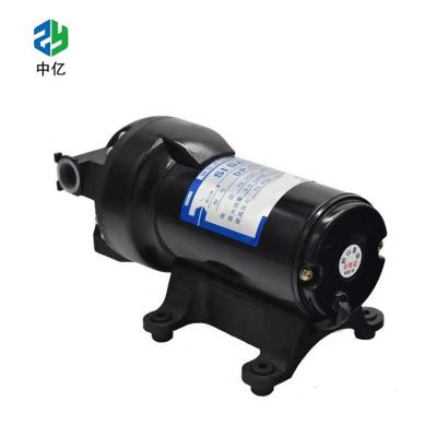 China DP-50  power 12v 24V dc car washer water  100 Psi miniature  diaphragm Pump  use for water purification systems for sale