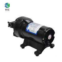 China DP-125 125PSI portable micro agriculture 12v dc high pressure water pump for sale