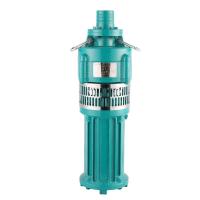 China QY Oil Immersion Pump Agricultural Irrigation single stage  Pump Fountain Submersible Pump for sale