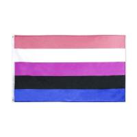 China Rainbow Pride Flag LGBT Community Gay Pride Lesbian Transgender Bisexual Flags Banner for sale