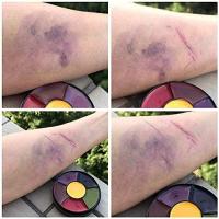 China 6 Color Bruise Wheel Special Effects Face Body Paint Oil Set SFX Zombie Makeup Kit with Sponge for sale