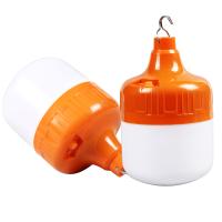 China Rechargeable DC Emergency LED Bulb Light For Fishing Camping With Battery for sale
