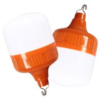 China Rechargeable DC Emergency LED Bulb Light For Fishing Camping With Battery for sale