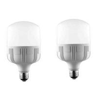 China 2700-6500K CCT Indoor LED Light Bulbs T Shape 90lm/W Durable for sale