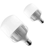 China 2700-6500K CCT Indoor LED Light Bulbs T Shape 90lm/W Durable for sale