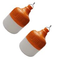 China Automatic Charging Emergency LED Bulb 100W DC 5V 100lm/W 270 Degree for sale