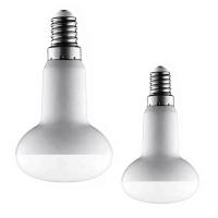 China 2700K-6500K Warm White LED Bulb , Ultraportable R Series LED Bulb for sale