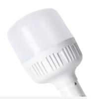 China 30W Rechargeable Emergency LED Bulb T Shape Lightweight Stable for sale