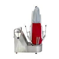 China ZDR-1 Garment Steamer Machine - Fast Wrinkle Removal with Adjustable Shoulder & Auto Blow Function for sale