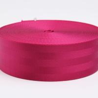 China Water Resistance Yes 300-1680D PP WEBBING for Durable Products for sale