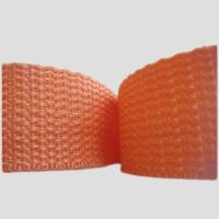 China High-Strength PP Plain Webbing 10-100mm Width with 300-1000kg Breaking Strength for Industrial Straps and Outdoor Gear for sale