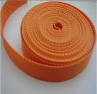 China High-Strength PP Plain Webbing 10-100mm Width with 300-1000kg Breaking Strength for Industrial Straps and Outdoor Gear for sale