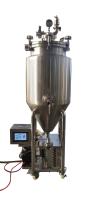 China Other Processing Control System CIP GHO 30L SUS 304 Automatic Conical Fermenter for sale