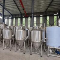 China Customized Capacity GHO Draft 600l Brewery for Home Beer Equipment for sale