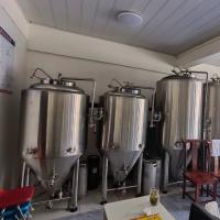 China 300L Capacity Customized Made Brewery Jacketed Fermenters for Your Brewery for sale