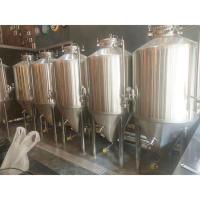 China Commercial Beer Making Machine Brewery Equipment with 200L Working Volume and Design for sale