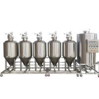 China Adjustable Voltage 304 Stainless Steel Fermentation Beer Brewing Equipment for sale