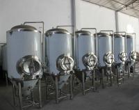 China Electricity/Steam/Fire Heating Method Conical Fermentation Tank for Beer Brewery Equipment for sale