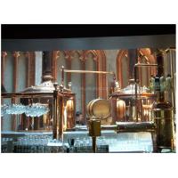 China Professional Turnkey Copper Beer Brewing Equipment with Mash Tank and Lauter Tank for sale