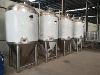 China Steam Heating 500L Whole Set Turnkey Project Beer Brewery Equipment for Beer Brewing for sale