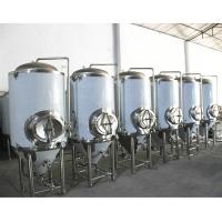 China 7BBL Side Manhole Beer Fermentation Tank with Inner Surface Welds Grinded to Ra 0.6μm for sale