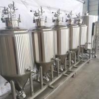 China 50L/100L Conical Jacketed Beer Fermentation Tank for Making Beer 300 KG Capacity for sale