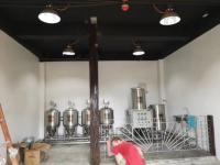 China Polyurethane Insulation Layer Home Beer Brewing Equipment 50L Capacity for Restaurant for sale
