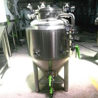 China Electric Heating GHO 100L Beer fermentor for Sale Fermenting Equipment for sale