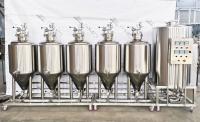 China 100L Stainless Steel Home Beer Brewing Equipment Making Machine 50L Capacity 50-200L for sale