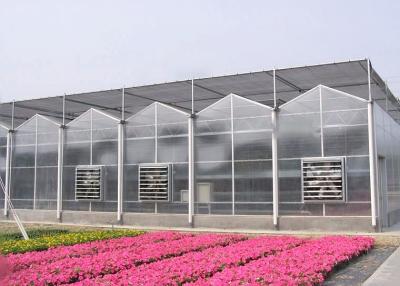 China Section Width 3-6m Multi Span Greenhouse Hot Galvanized Steel Frame For Agricultural for sale