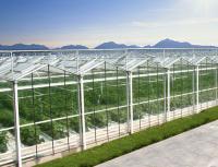 China Hermetic Agricultural Glass Greenhouse , Venlo Greenhouse Structure Aluminium Alloy Roof for sale
