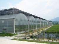China Bolting Connection Polycarbonate Panel Greenhouse , Durable Dome Shaped Greenhouse for sale
