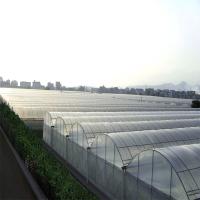 China Climate Adjustable Plastic Film Greenhouse Heat Resisting Anti Freezing Moisture Proof for sale