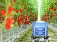 China Climate Adjustable Plastic Film Greenhouse Heat Resisting Anti Freezing Moisture Proof for sale