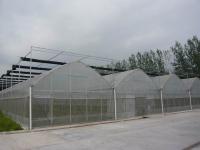 China Arched Roof Multi Span Greenhouse Structure For Growing Fruits / Flowers / Vegetables for sale