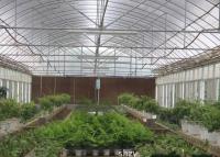 China Agriculture PC Sheet Greenhouse Fashionable Appearance With 3 Roofs Every Span for sale