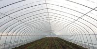China Agriculture Single Tunnel Greenhouse / Cold Frame Greenhouse Beam Mount Space 0.8-1.2M for sale