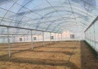 China Stable Structure Polyethylene Plastic Greenhouse High Wind Resistance Customized Design for sale