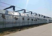 China Stable Structure Polyethylene Plastic Greenhouse High Wind Resistance Customized Design for sale