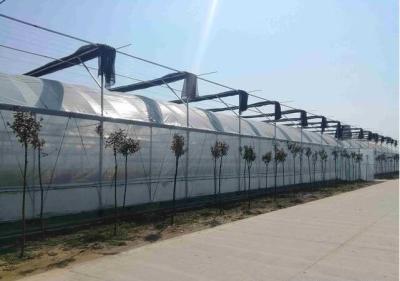 China Stable Structure Polyethylene Plastic Greenhouse High Wind Resistance Customized Design for sale