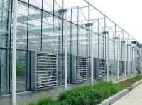 China Beautiful Agricultural Glass Greenhouse , Commercial Greenhouse Structures Wind Load 120KM/H for sale
