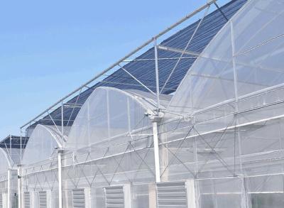 China Economical Multi Span Greenhouse / Galvanized Steel Greenhouse High Wind Resistance for sale