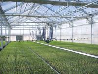 China No Welded PC Sheet Greenhouse Galvanized Steel Skeleton Various Sheet Colors Available for sale