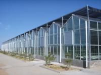 China Galvanized Steel Horticultural Glass Greenhouse Waterproof Good Anti Corrosive Effect for sale