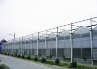 China Wind Resistance Venlo Style Greenhouse For Special Frequent Weather Areas for sale