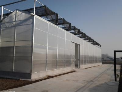 China Multi Span Large Aluminium Greenhouse Span Width 9.6 / 10.8 / 12m Snow Load .45KN/m2 for sale