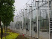 China Exquisite Aluminum Frame Glass Greenhouse Gutter Height 3.0m-6.0m Easy Assemble for sale
