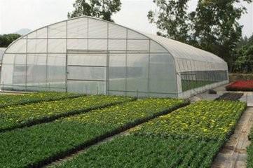 China Agriculture Small Tunnel Greenhouse Anti Fog With Huge Roof / Side Ventilation for sale