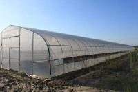 China Traditional Polycarbonate Tunnel Greenhouse Snow Load 0.45KN/M2 Rainfall 90mm/H for sale
